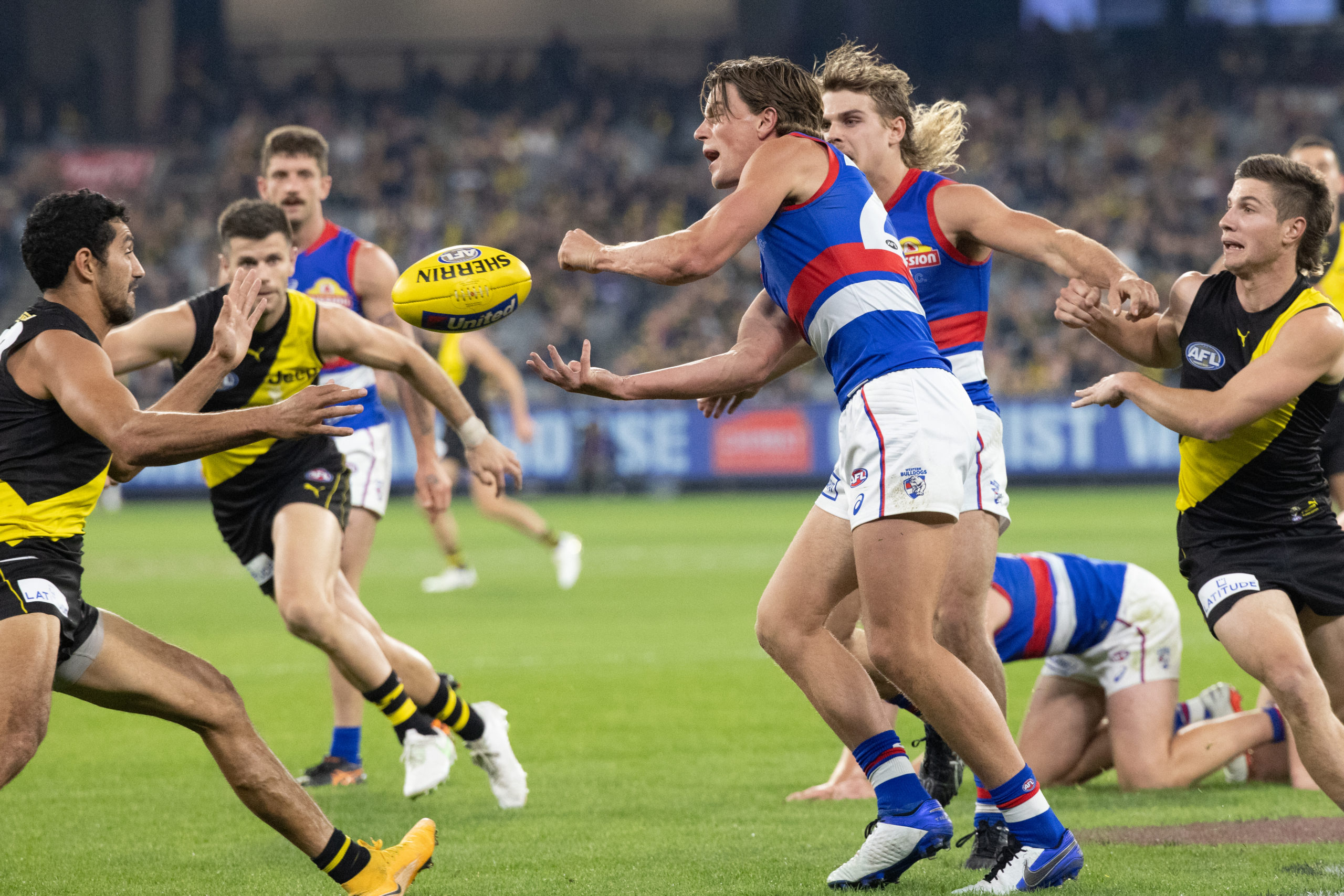 Dog becomes a Pie - K ROCK 95.5