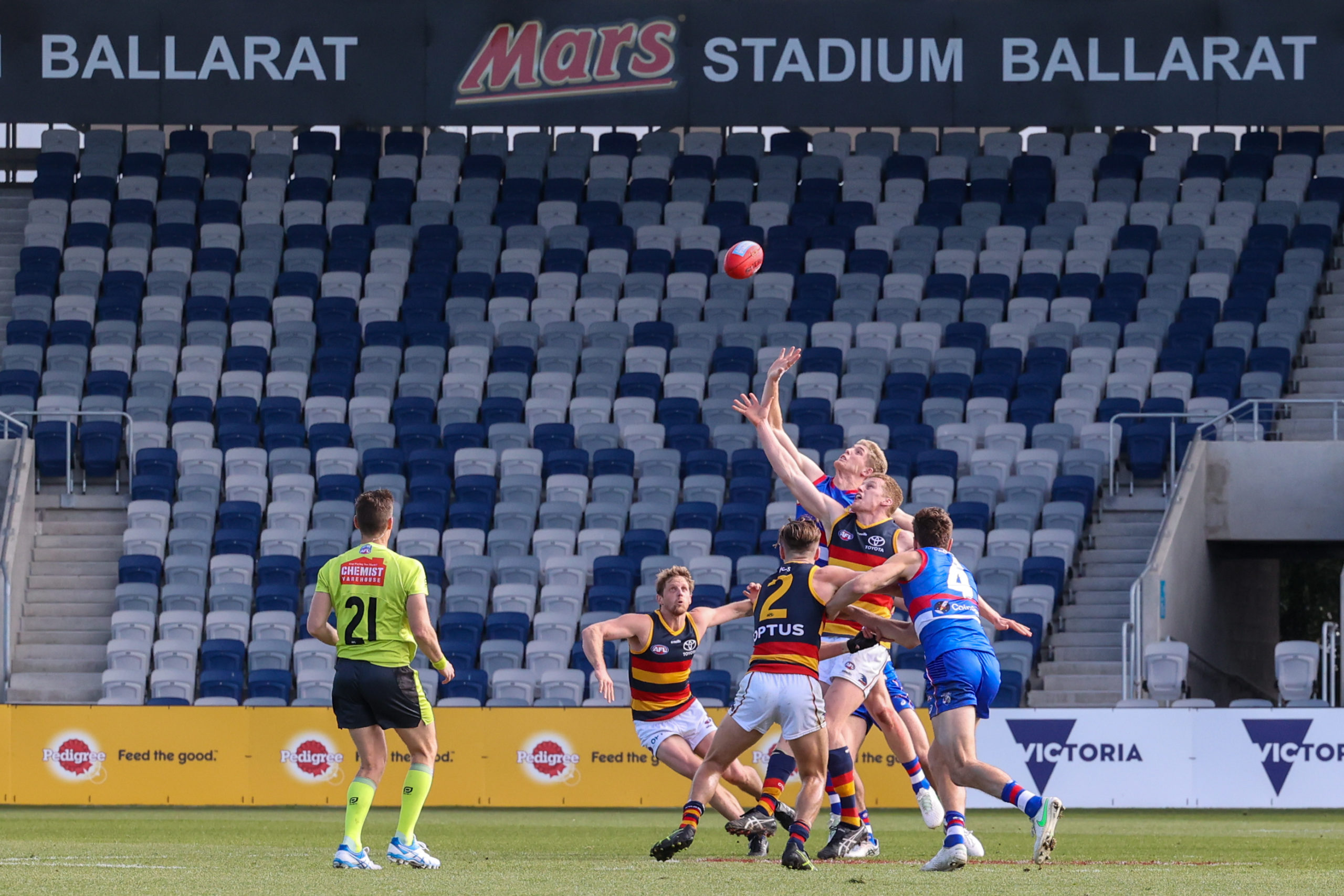 Dogs commit to Ballarat - K ROCK 95.5