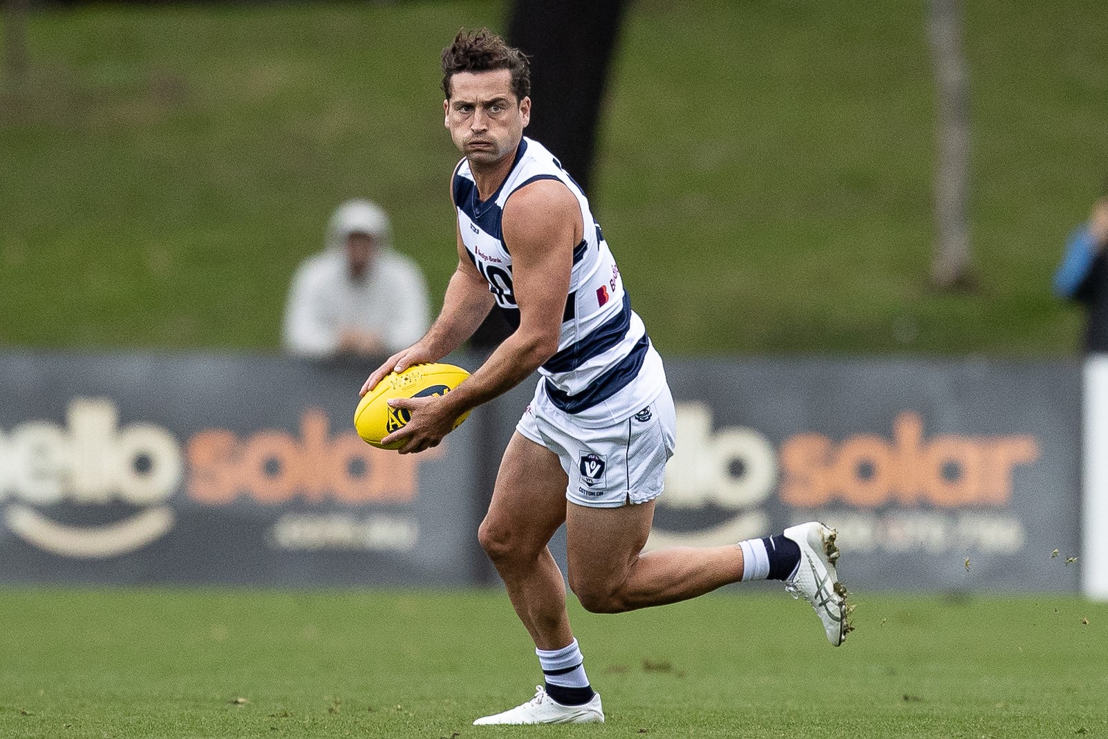 Dahlhaus inspires depleted Cats - K ROCK 95.5