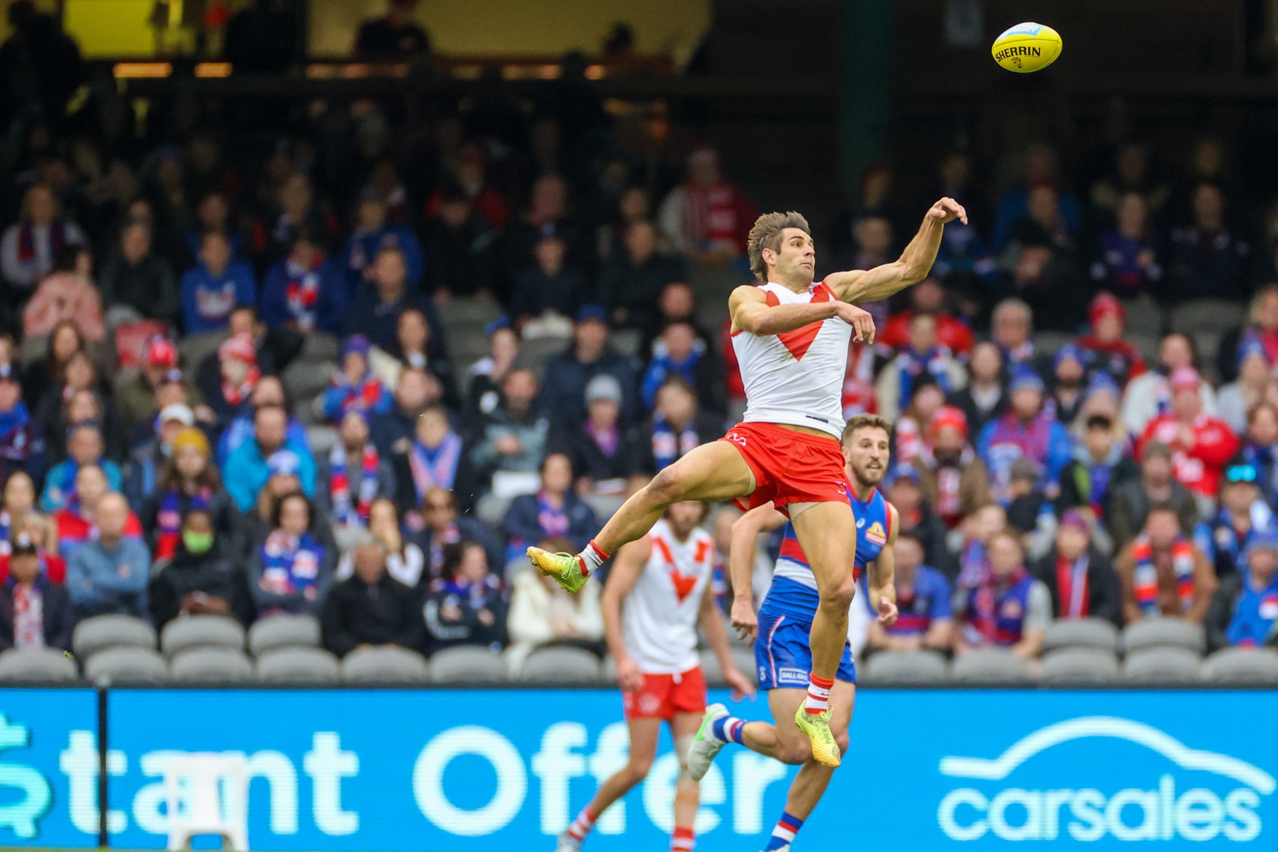 Swan set for extended spell - K ROCK 95.5