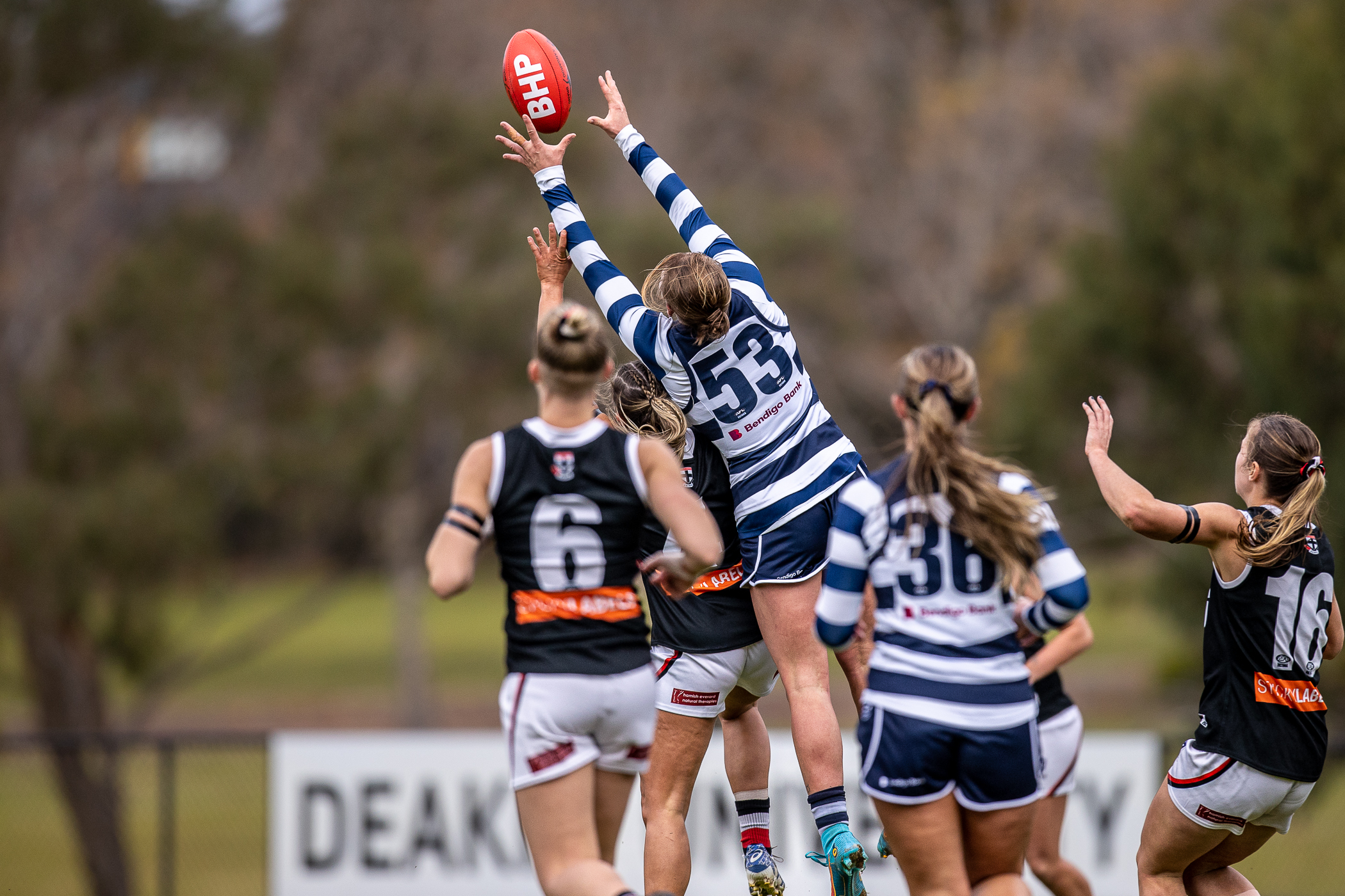 Saints end Cats flag hopes - K ROCK 95.5