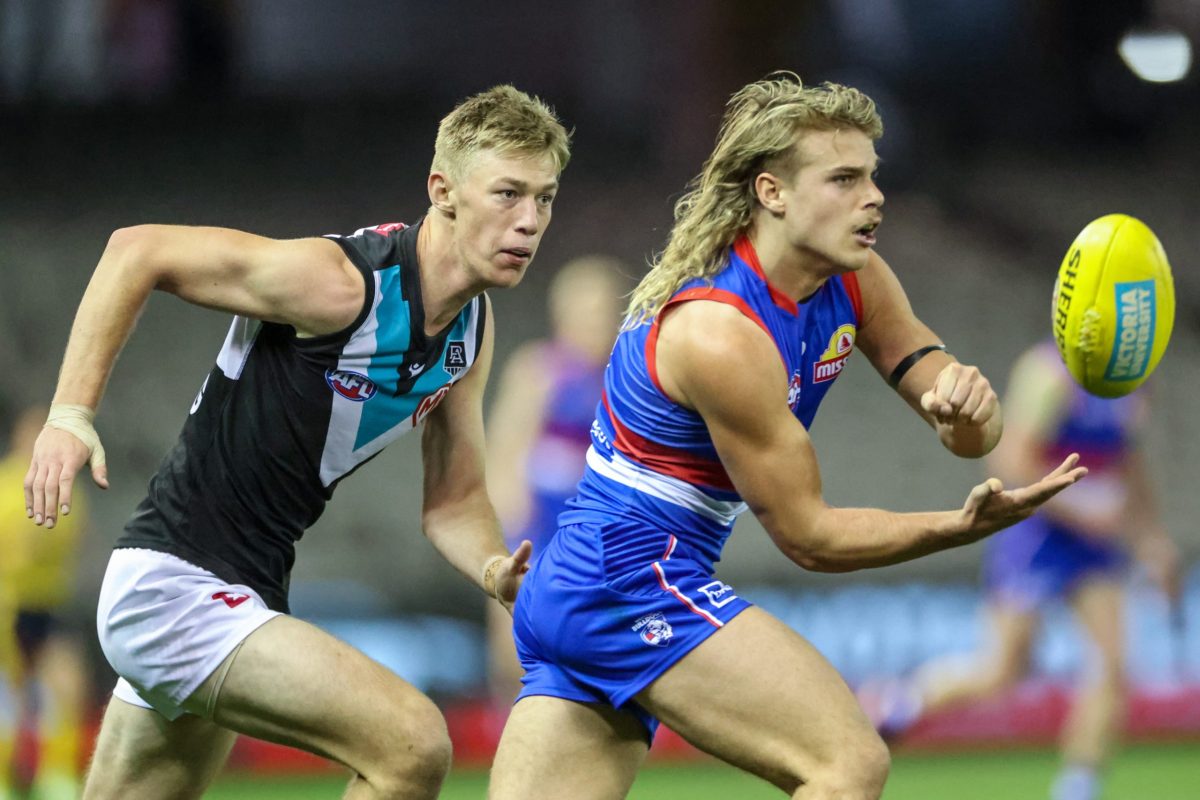 Cats get their man - K ROCK 95.5