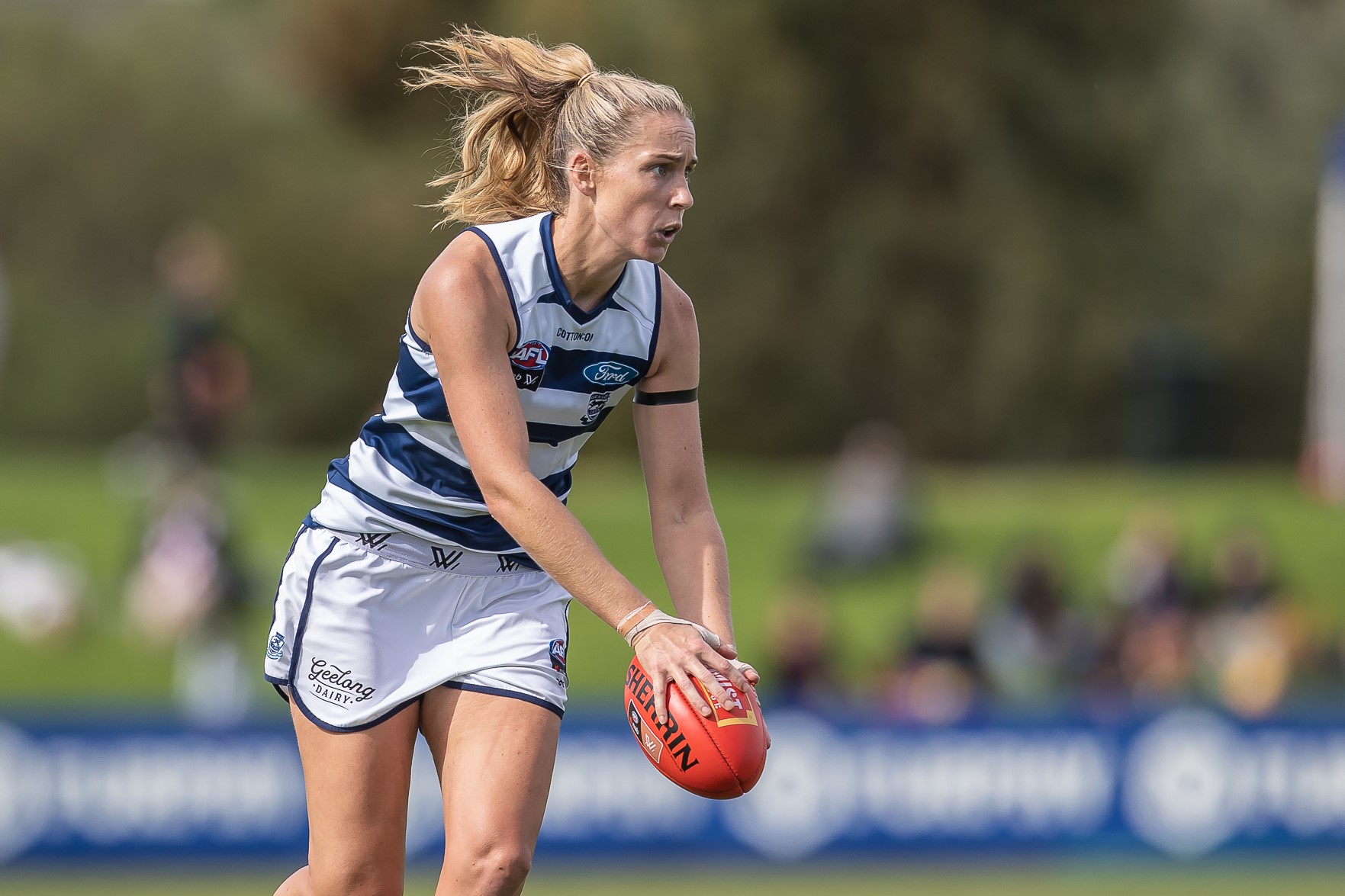 Star Cat steps away - K ROCK 95.5