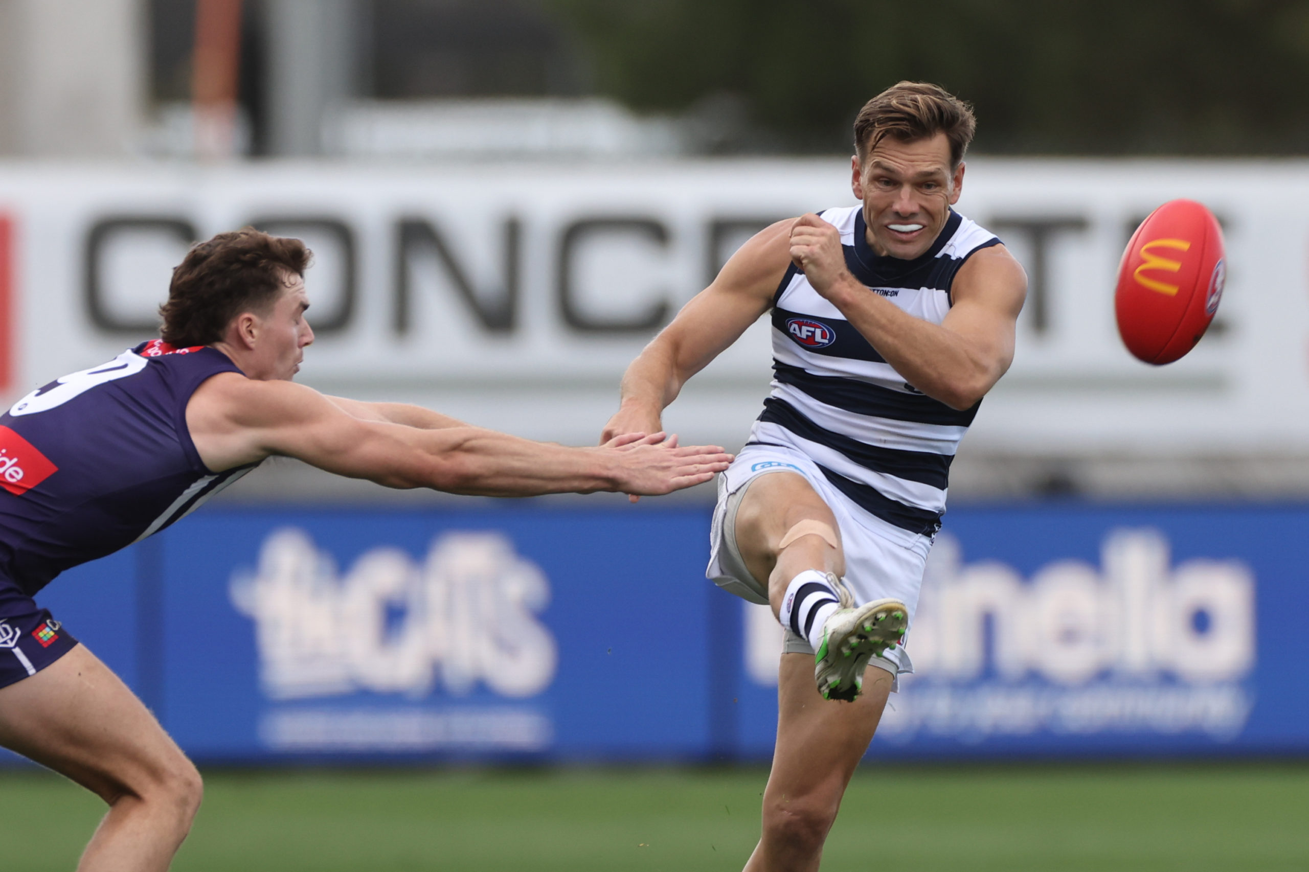 Veteran Cat calls time - K ROCK 95.5