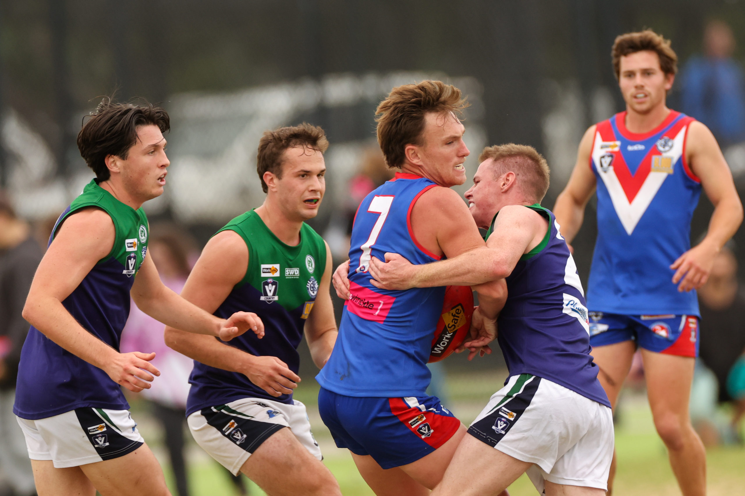 Syddall set for Seagulls debut - K ROCK 95.5