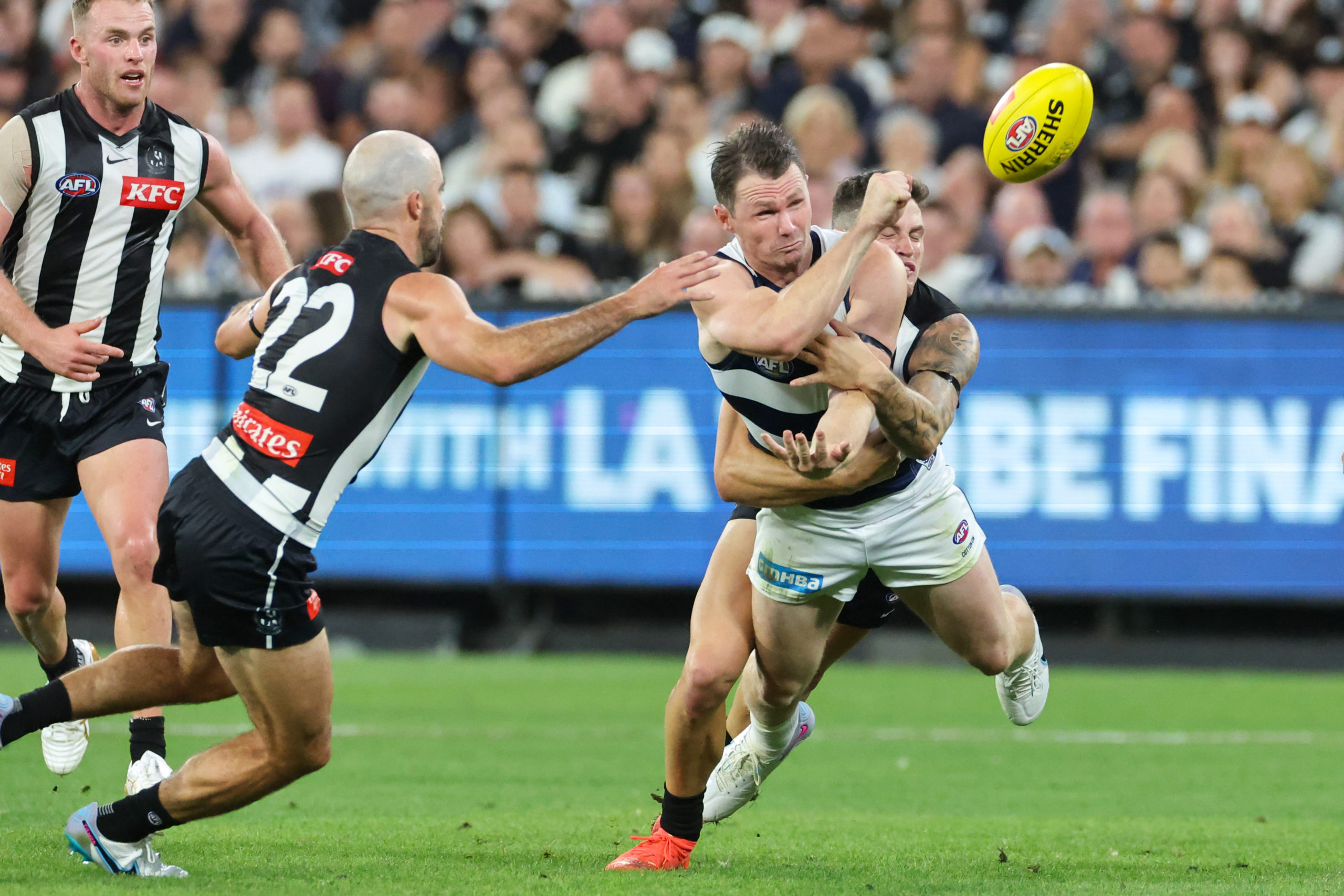 Paddy, Sav back for Swans clash - K ROCK 95.5