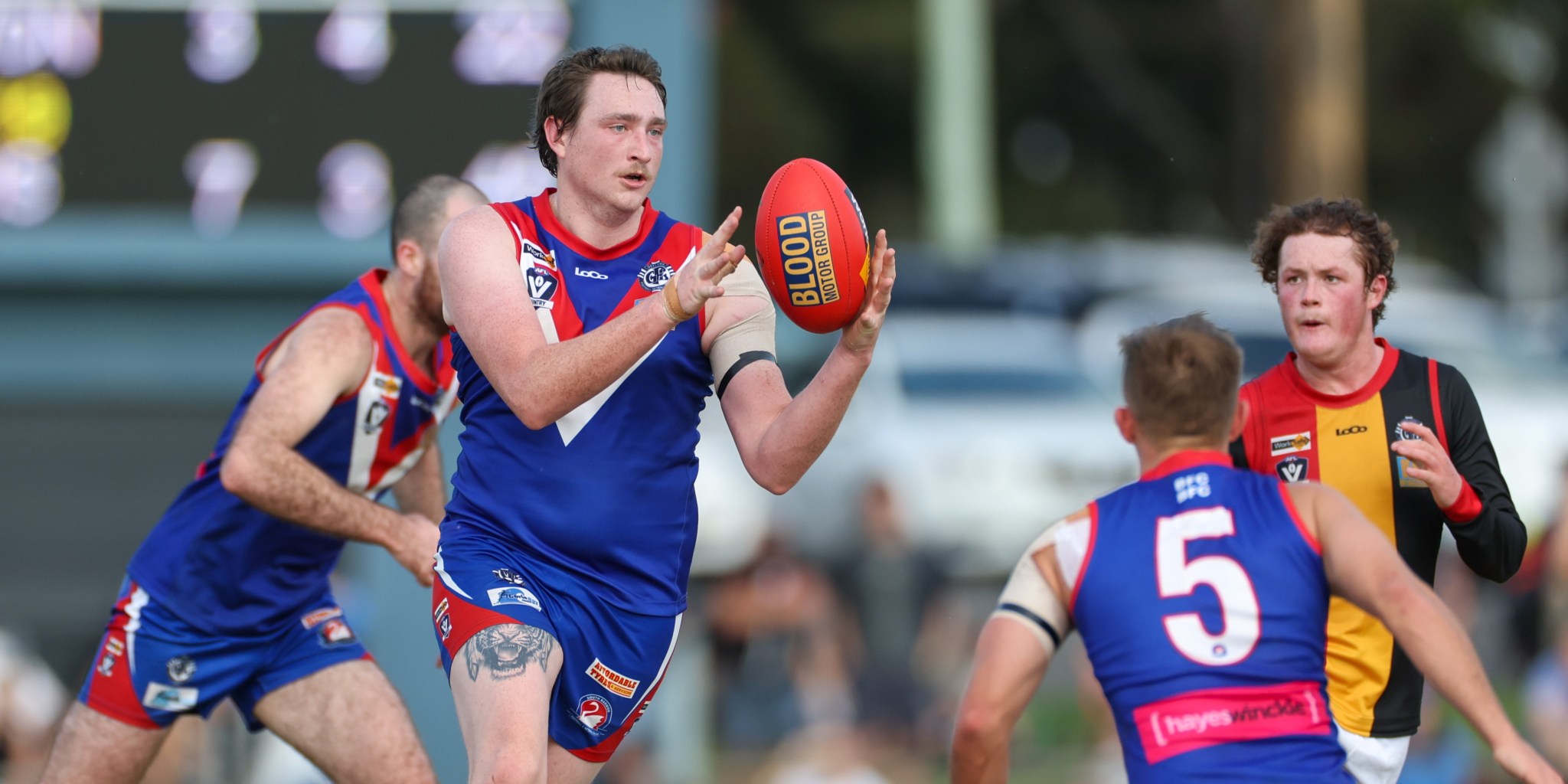 Cats unveil first recruits - K ROCK 95.5