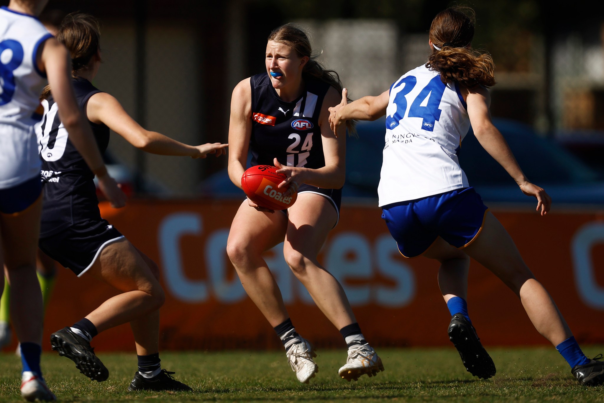 Star Falcon the Cats’ first draftee - K ROCK 95.5