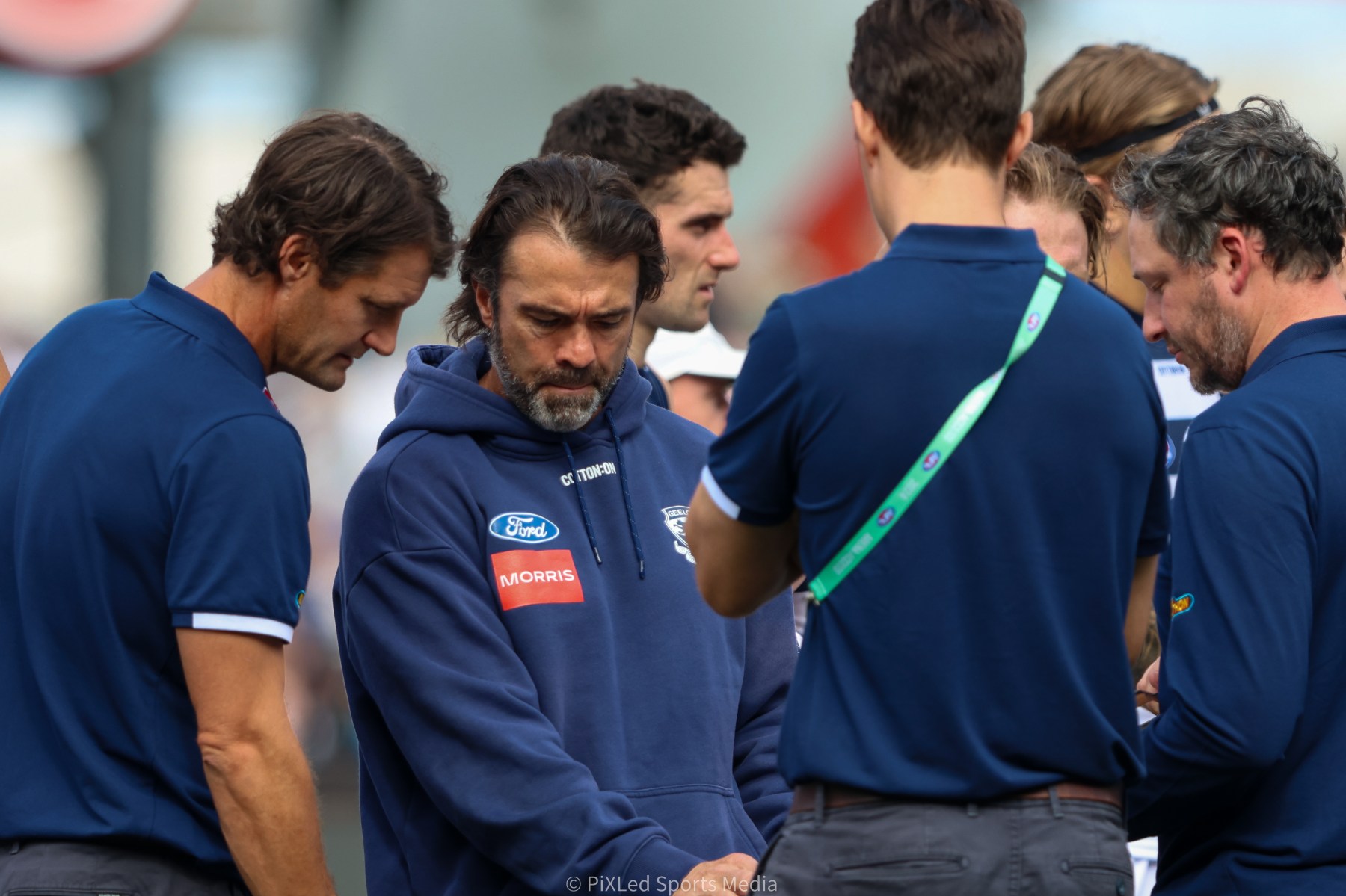 Cat ready for challenging run - K ROCK 95.5