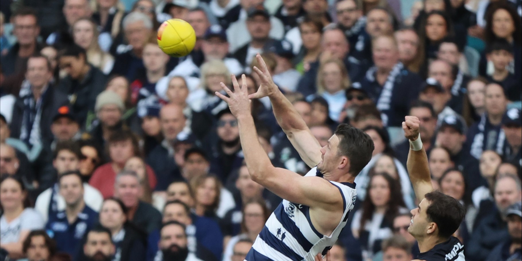 Danger hamstrung as Cats fight off Blues charge - K ROCK 95.5