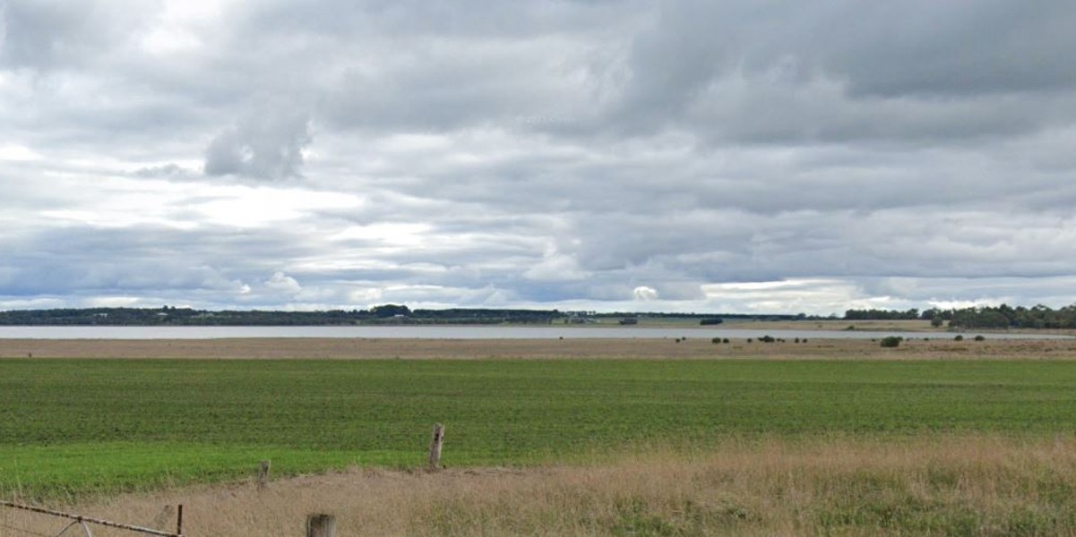 Councillor calls for duck shooting ban at local wetlands - K ROCK 95.5