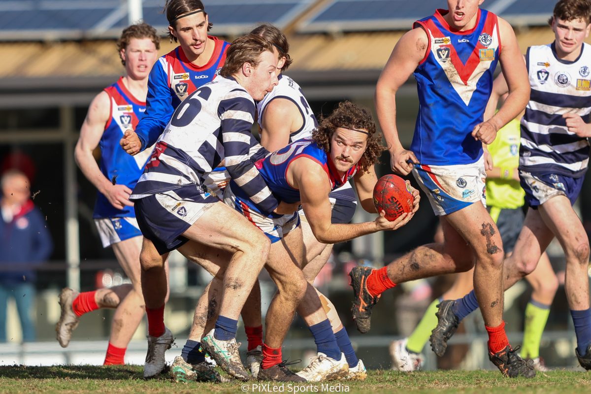 Mathieson medalist earns Cats VFL shot - K ROCK 95.5