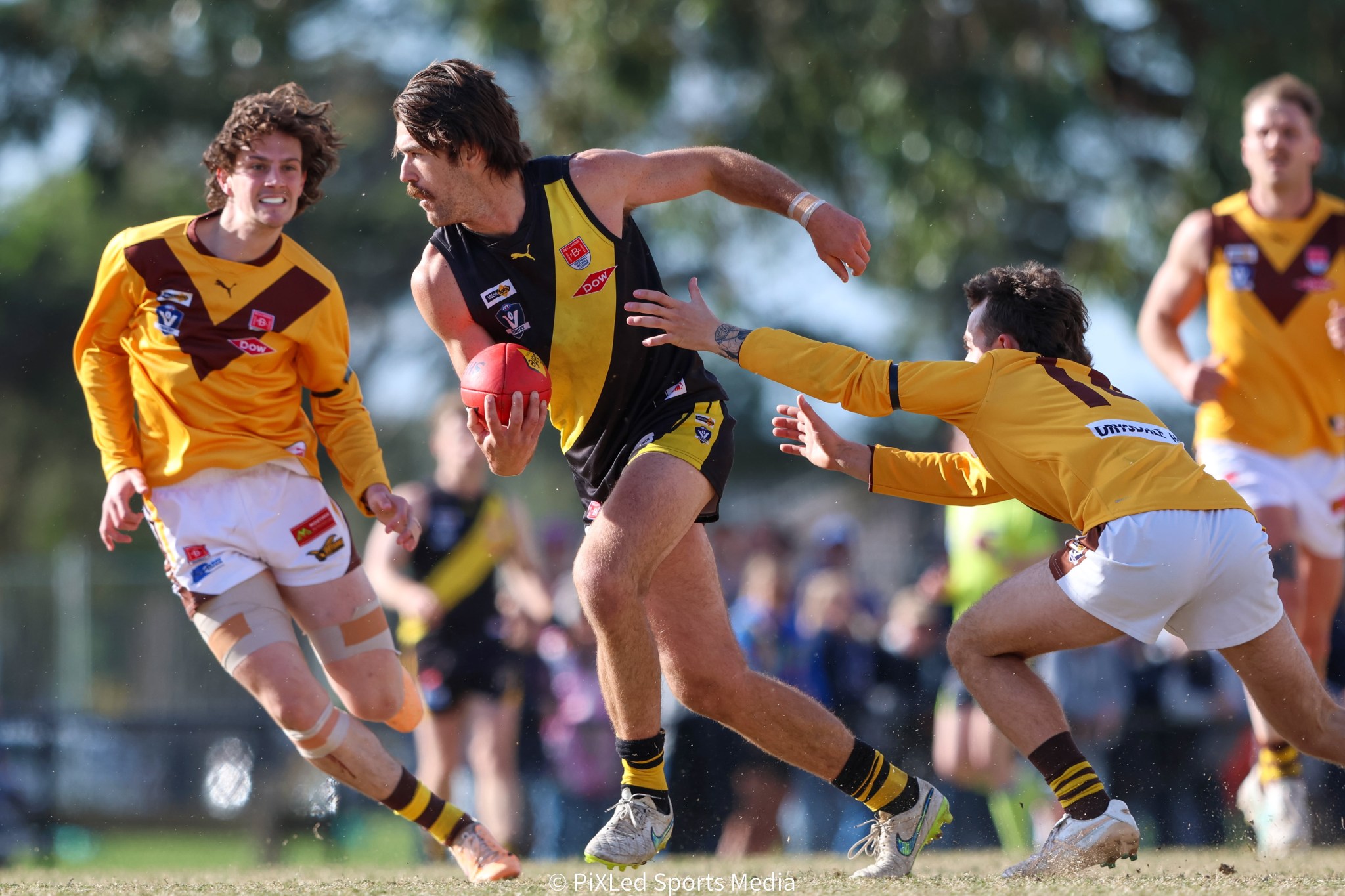 Tigers back on track - K ROCK 95.5