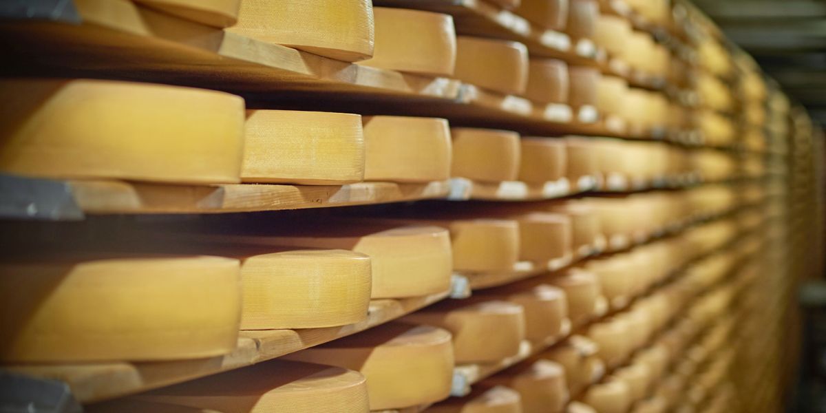 Luxury Cheese Heist: $588K Worth of Cheddar Stolen - K ROCK 95.5