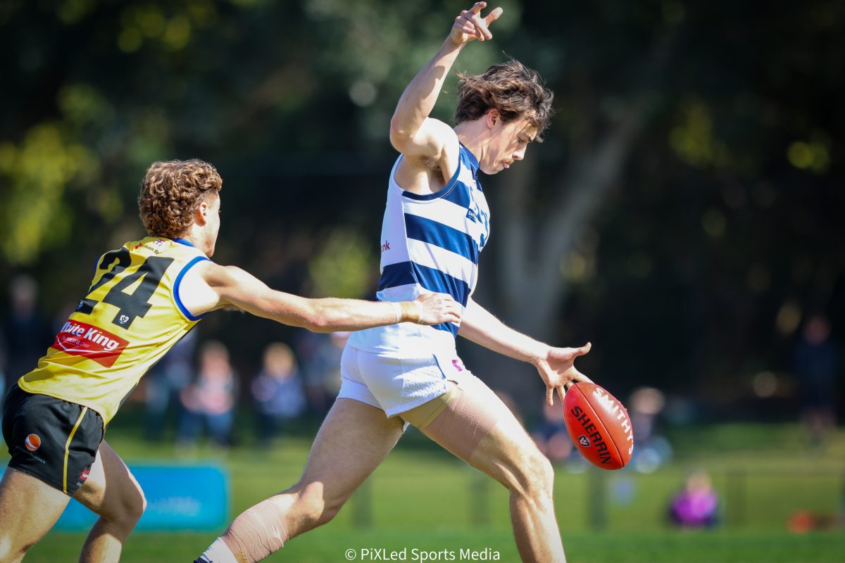 Cats cut rookie - K ROCK 95.5