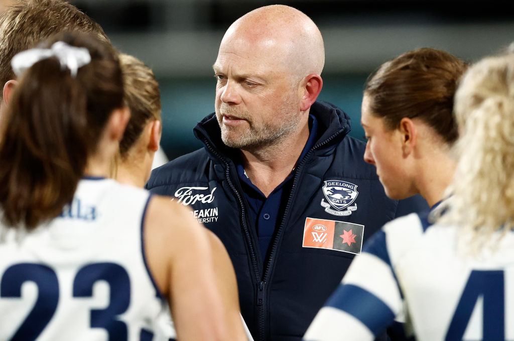 Cats not giving up fight - K ROCK 95.5