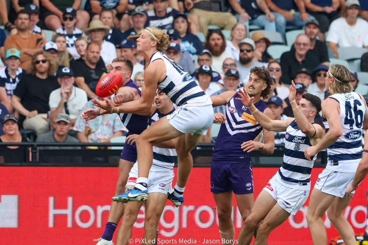 Sam set for surgery - K ROCK 95.5