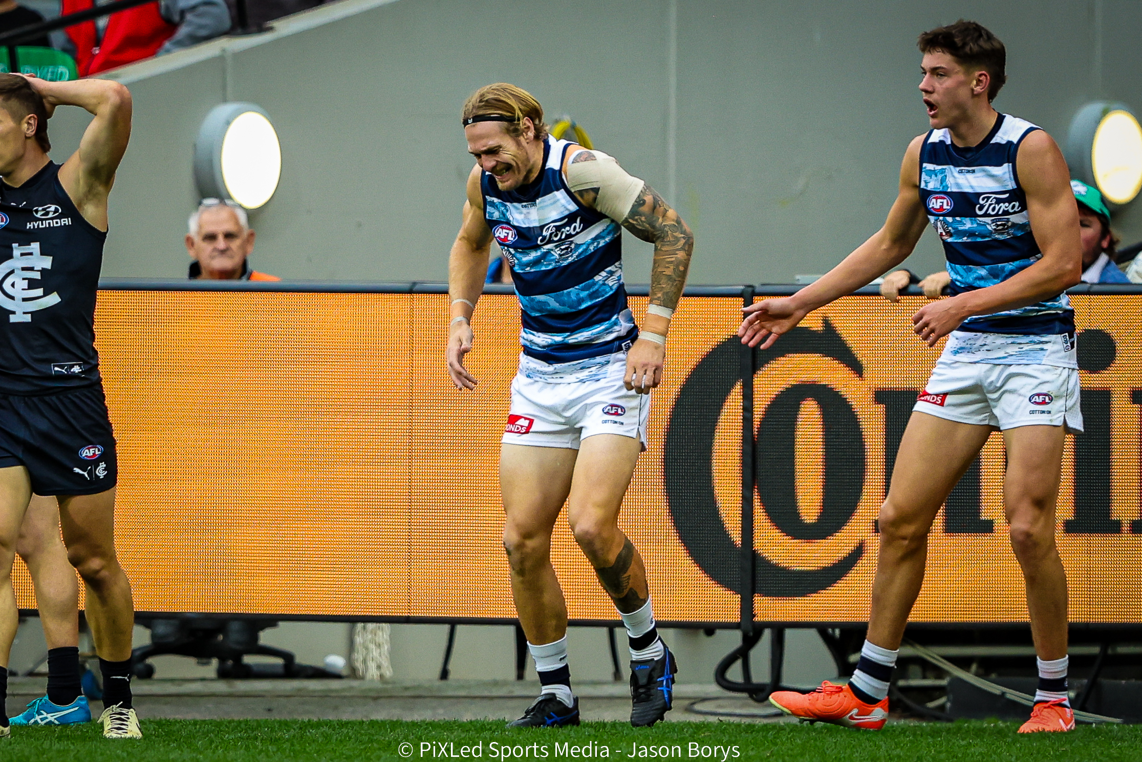 Cats to make call on Stewart - K ROCK 95.5