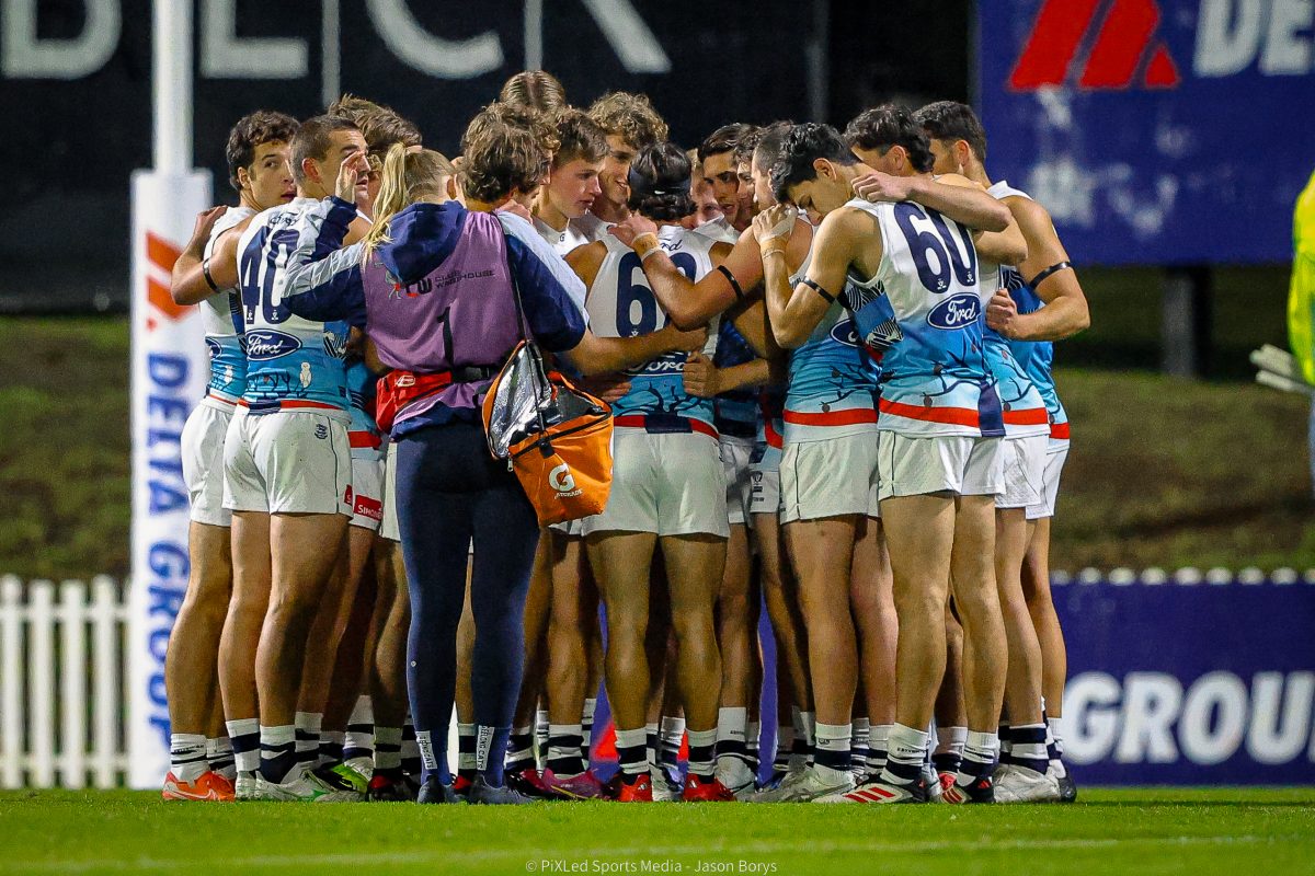 Biggest AFL contingent for VFL Cats for 2025 - K ROCK 95.5