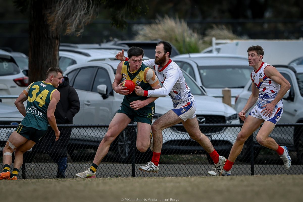 Season over for Lions forward - K ROCK 95.5