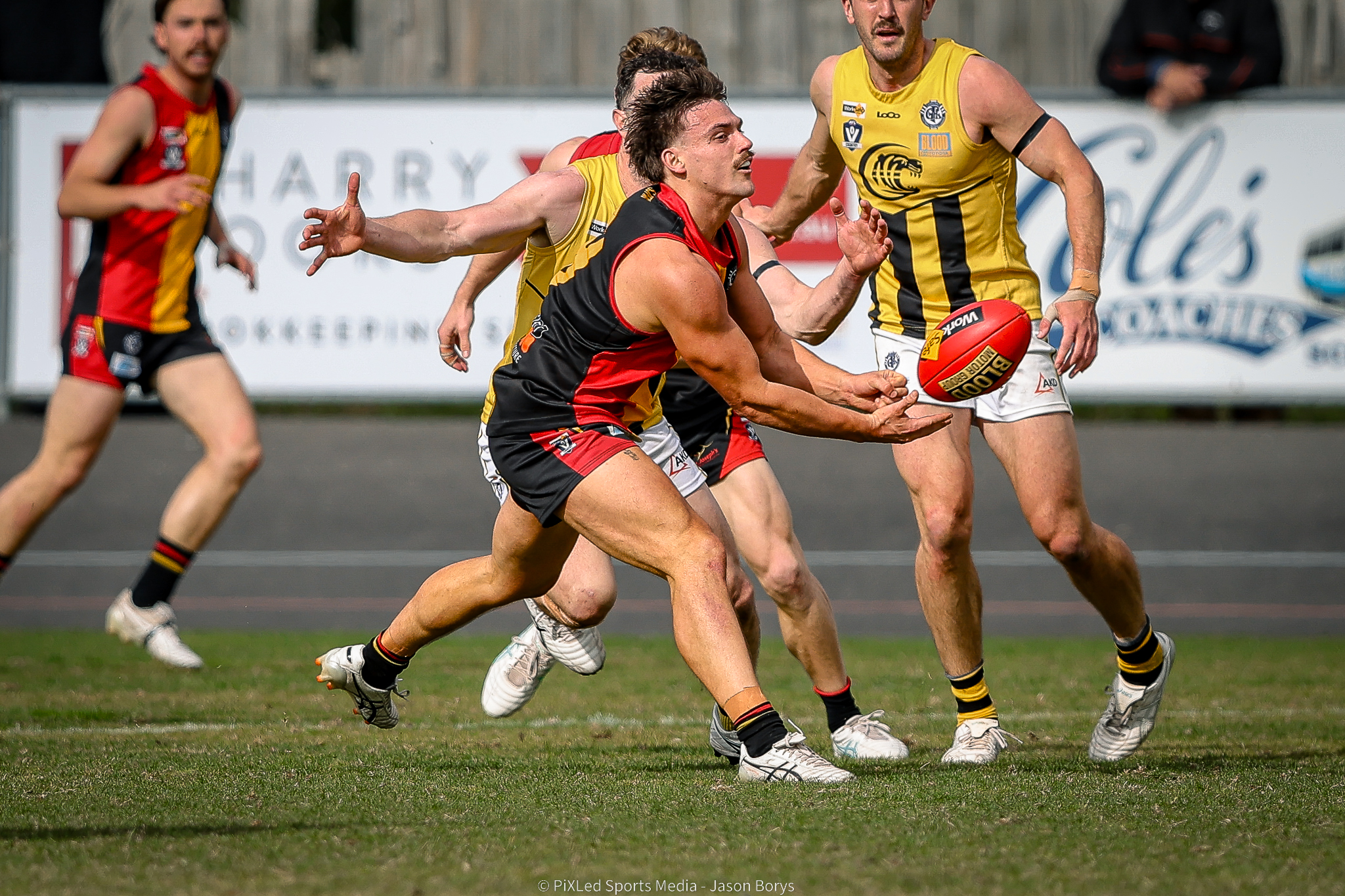 Gow blow for Joeys - K ROCK 95.5