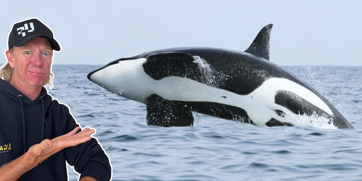 Rare Orca Encounter Caught on Camera Stuns Fishermen - K ROCK 95.5